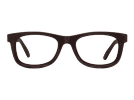 SafeVision Echo - SafeVision