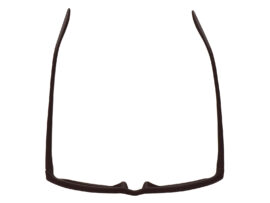 SafeVision Echo - SafeVision